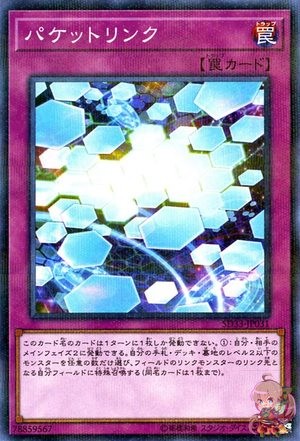 Packet Link [SD33-JP031-NPR] – Cardingedge