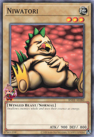Niwatori [BN01-AE080-C] – Cardingedge