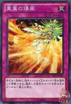 Phoenix Wing Wind Blast (Common) [SD24-JP033-C] – Cardingedge