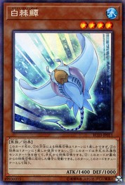 White Stingray [RC03-JP011-CR] – Cardingedge
