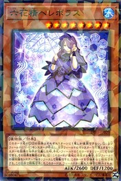 Snowflower Sprite Helleborus [DBSS-JP020-NPR] – Cardingedge