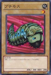 Petit Moth [BE01-JP131-C] – Cardingedge