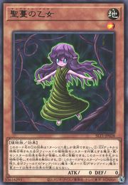 Sunvine Maiden [SLT1-JP028-R] – Cardingedge