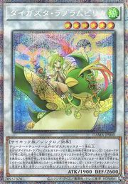 Daigusto Raprampilica [DAMA-JP040-PSCR] – Cardingedge