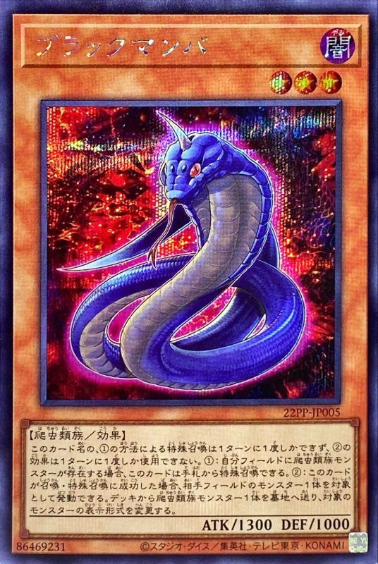 Black Mamba [22PP-JP005-SCR] – Cardingedge