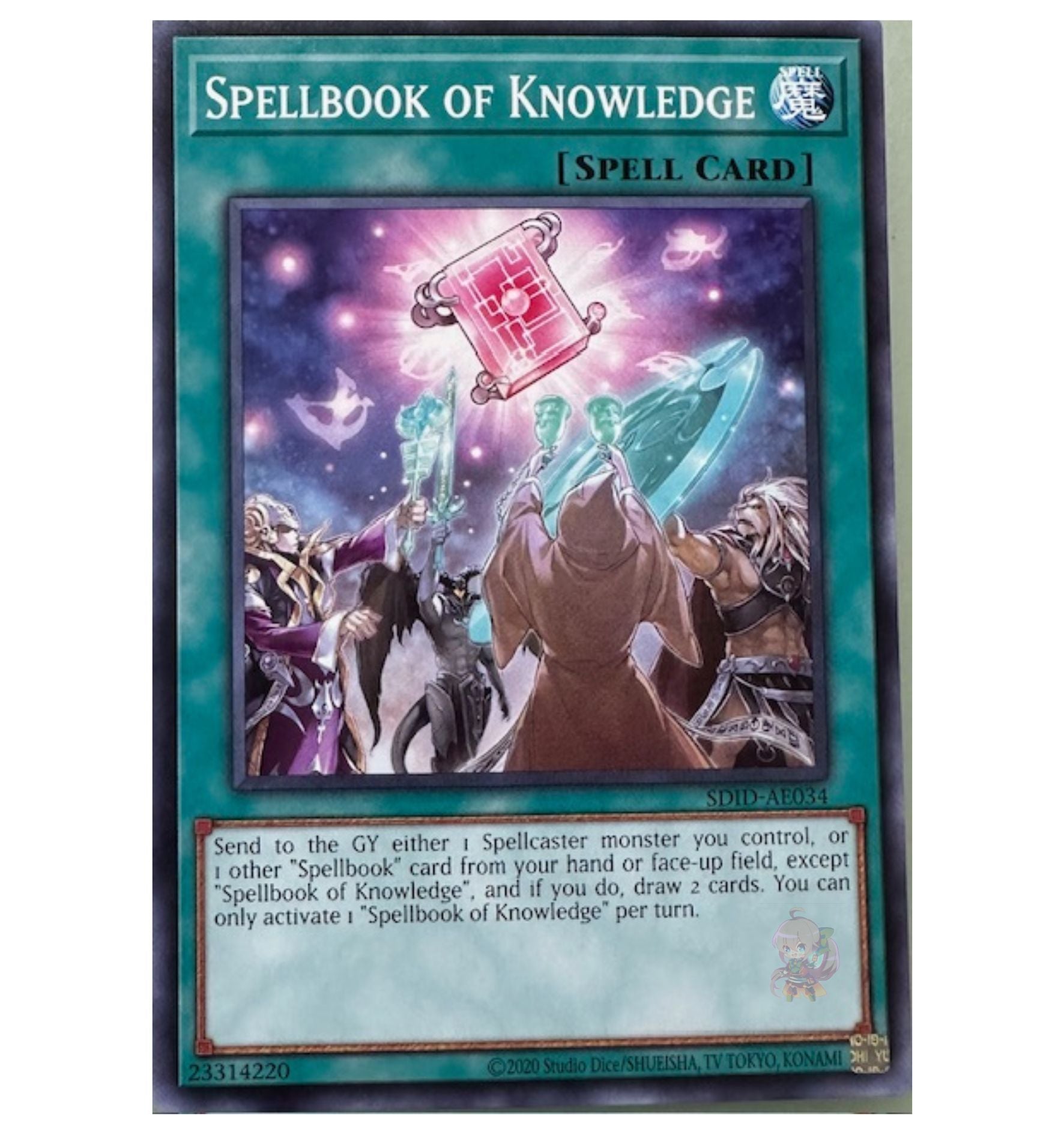 Spellbook of Knowledge [SDID-AE034-C] – Cardingedge